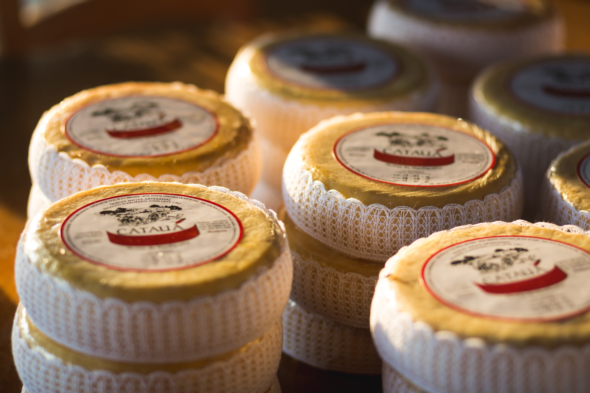 Catauá cheese – ARTITUS PROJECT